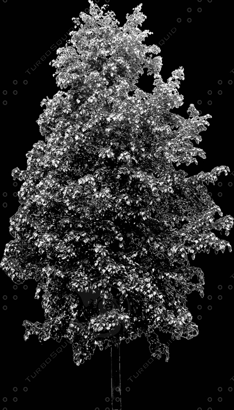 Texture JPEG tree billboard high