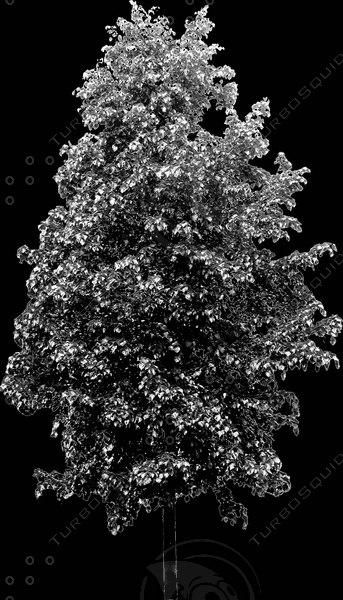 Texture JPEG tree billboard high