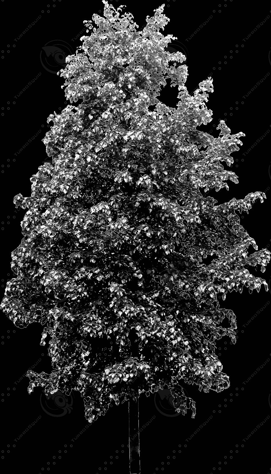 Texture JPEG tree billboard high