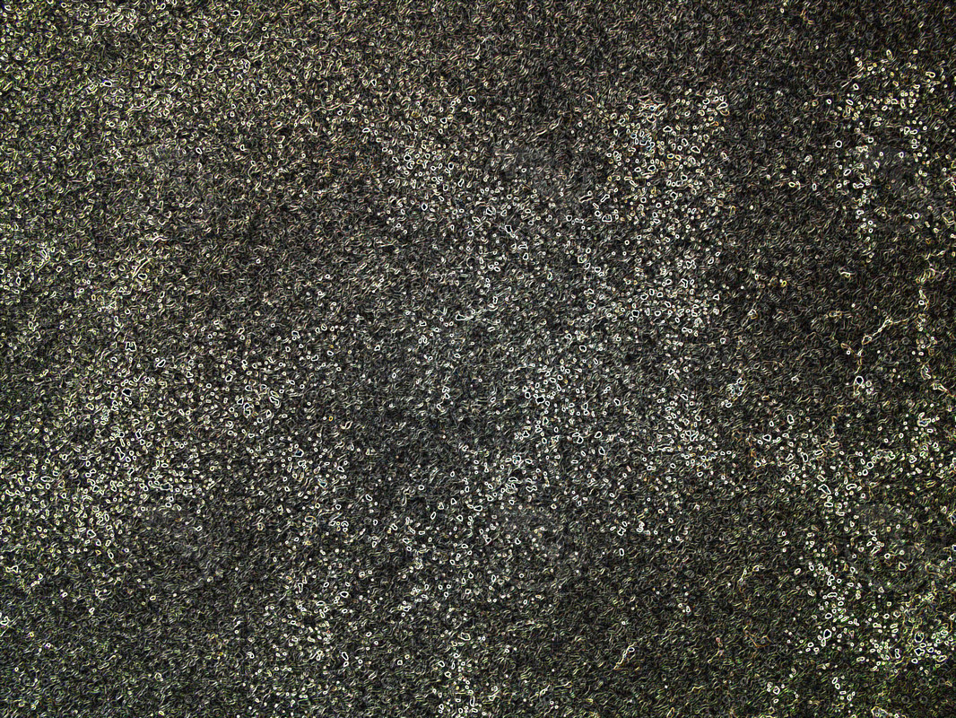 Texture JPEG Wormy Dark Bio