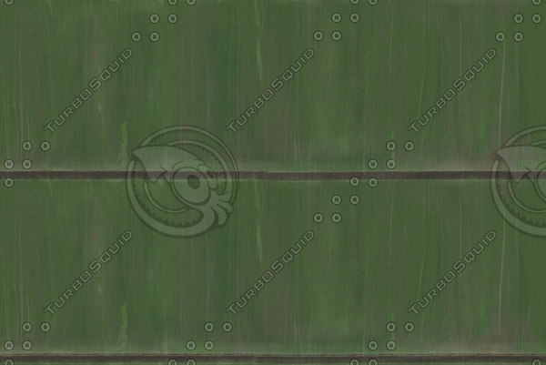 Texture JPEG bamboo repeating texture