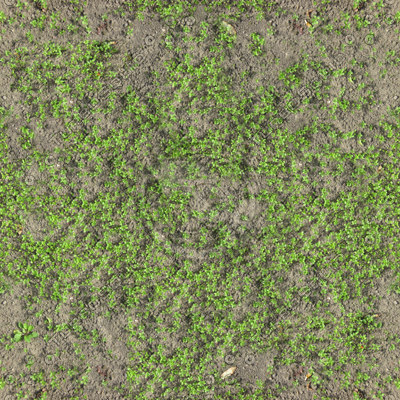 Texture TIFF ground dirt clover