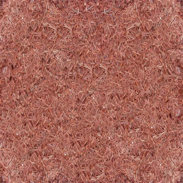 Texture JPEG seamless mulch ground