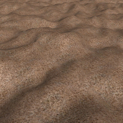 Texture JPEG grass landscape yard
