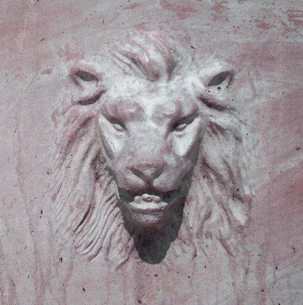 Texture JPEG lion