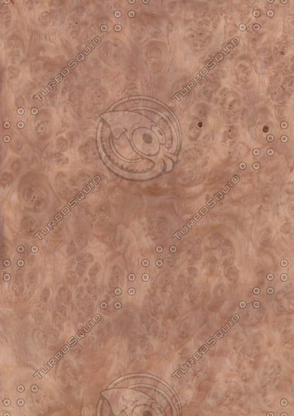 Texture JPEG oak burl bamboo