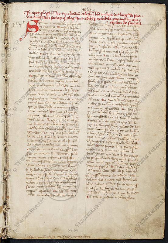 Texture Other medieval book books