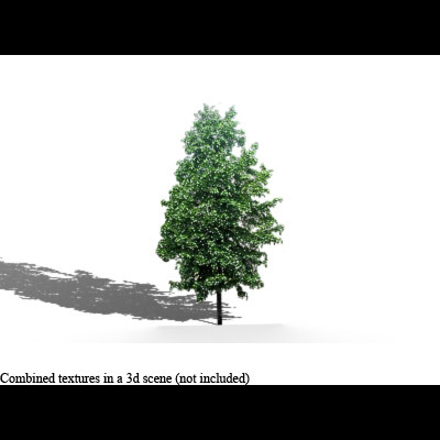 Texture JPEG tree billboard high