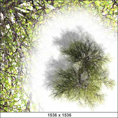 Texture Photoshop top view middle