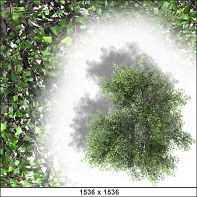 Texture Photoshop top view middle