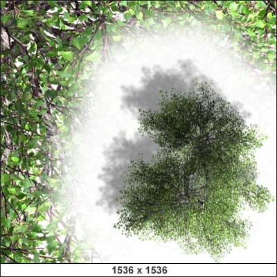 Texture Photoshop top view middle