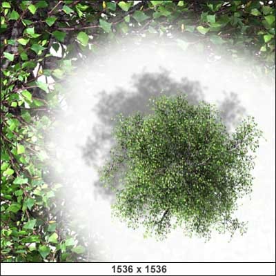 Texture Photoshop top view middle