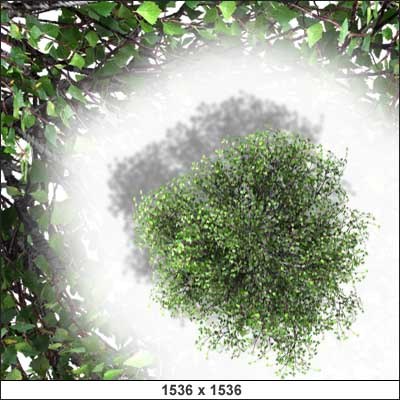 Texture Photoshop top view middle