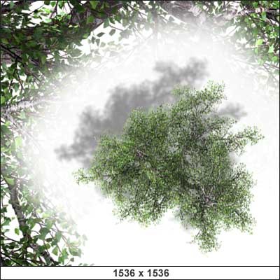 Texture Photoshop top view middle