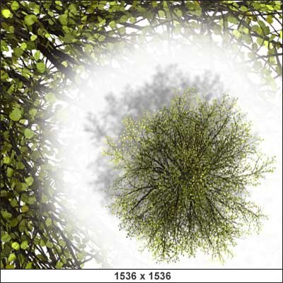 Texture Photoshop top view middle