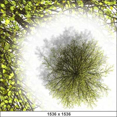 Texture Photoshop top view middle