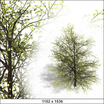 Texture Photoshop top view middle