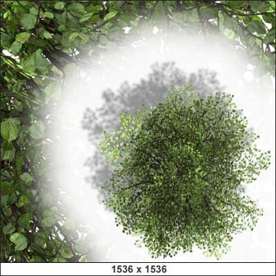 Texture Photoshop top view middle