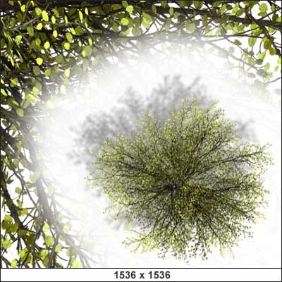 Texture Photoshop top view middle