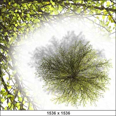 Texture Photoshop top view middle