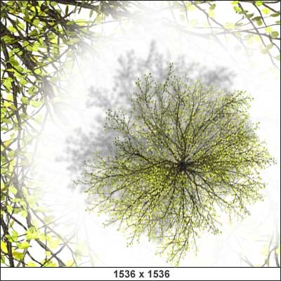 Texture Photoshop top view middle