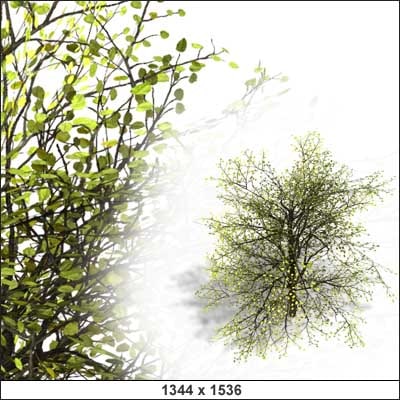 Texture Photoshop top view middle