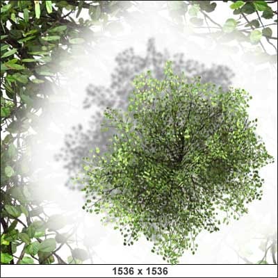 Texture Photoshop top view middle