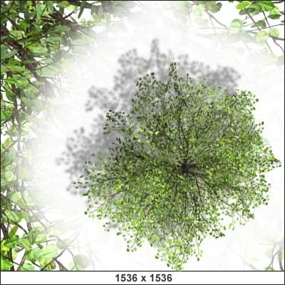 Texture Photoshop top view middle