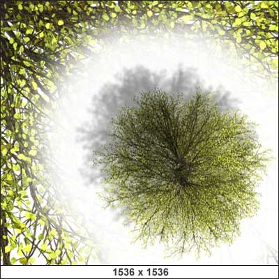 Texture Photoshop top view middle