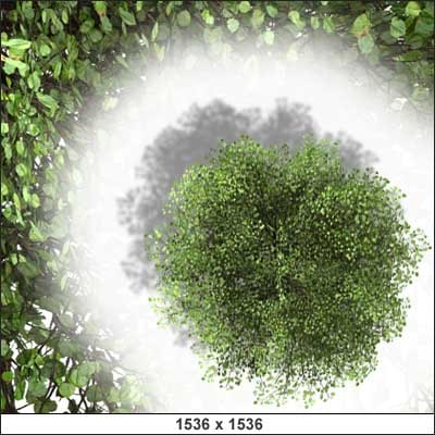 Texture Photoshop top view middle