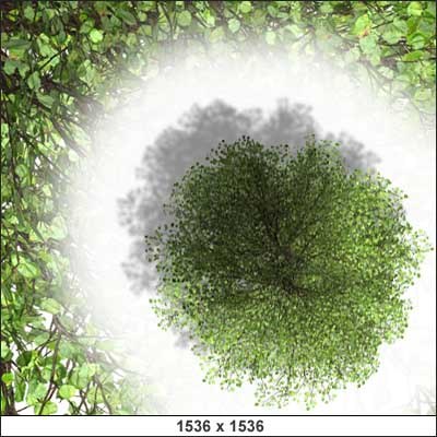 Texture Photoshop top view middle