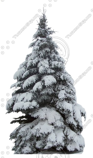 Texture Photoshop winter tree snow