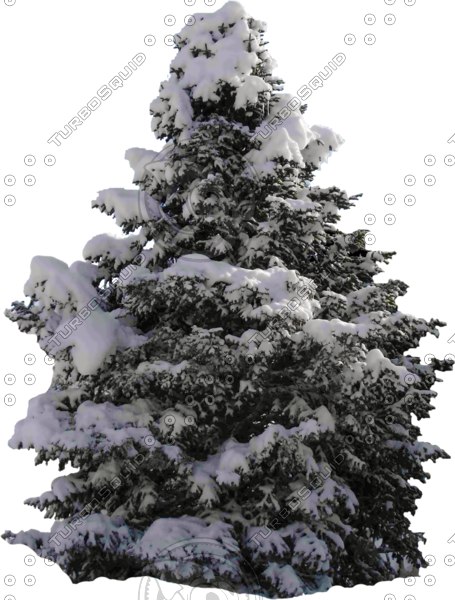 Texture Photoshop winter tree snow