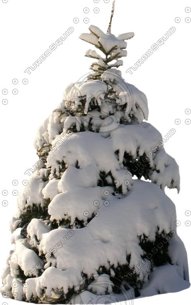 Texture Photoshop winter tree snow