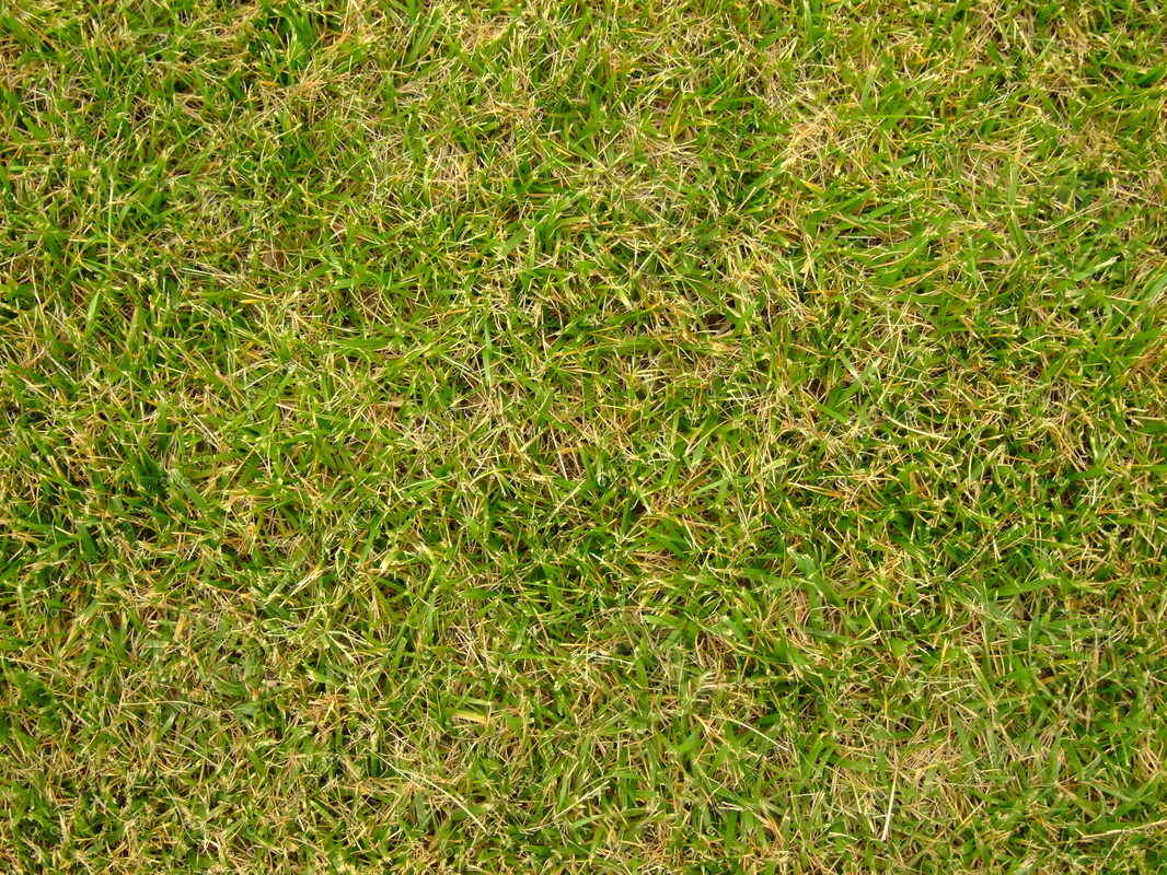 Texture JPEG lawn ground green