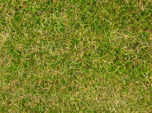 Texture JPEG lawn ground green