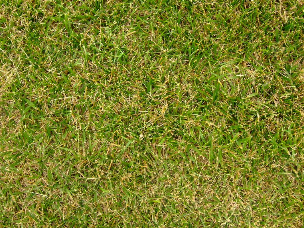 Texture JPEG lawn ground green