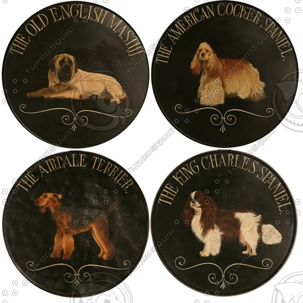 Texture JPEG dog plaque plaques