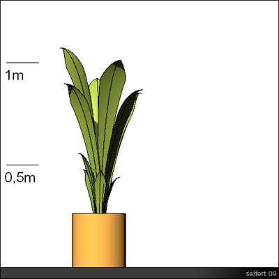 Building Revit Family Plant Plants Flower