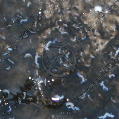 Texture JPEG black algae mat