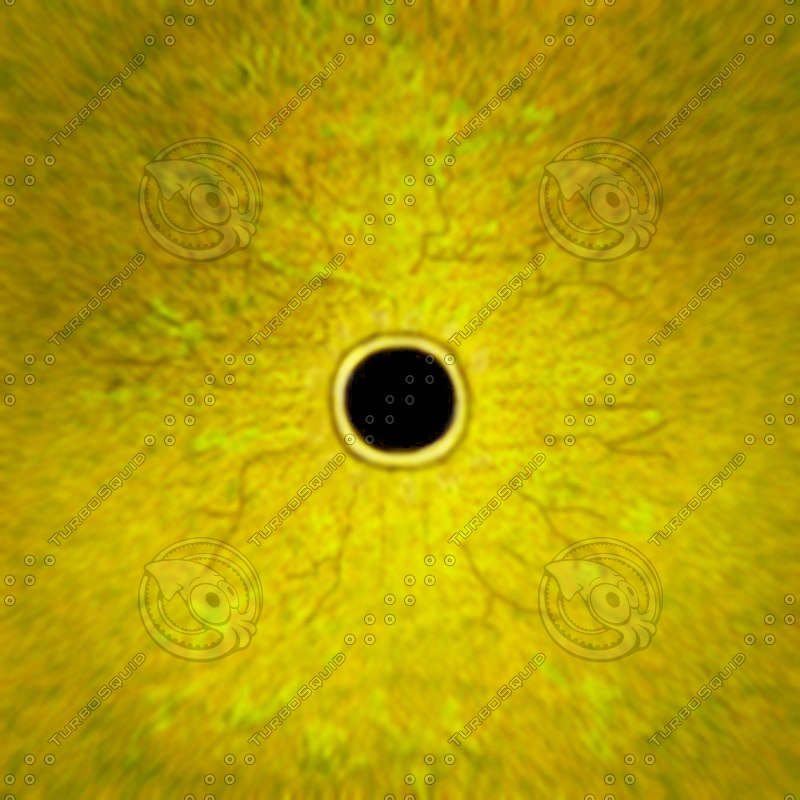 Texture JPEG Eye Creature