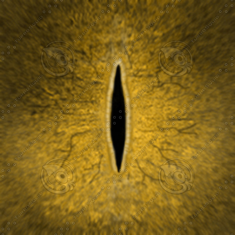 Texture JPEG Eye Creature