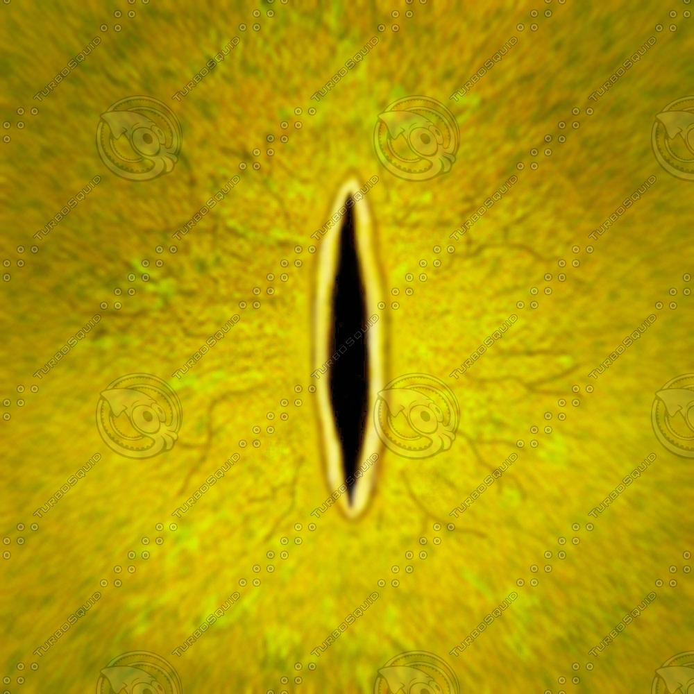Texture JPEG Eye Creature