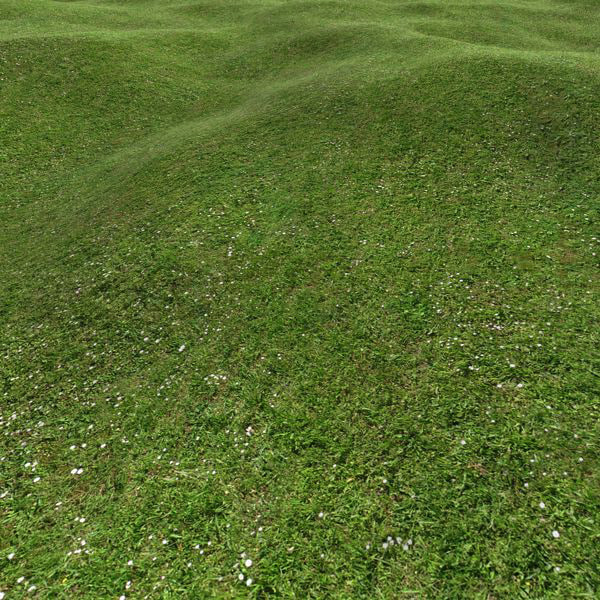 Texture JPEG grass terrain ground