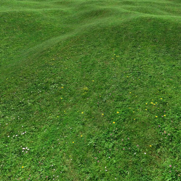 Texture JPEG grass terrain ground