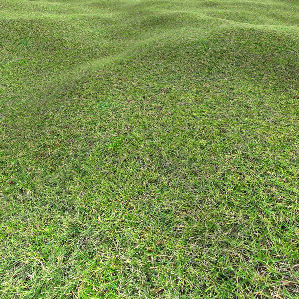 Texture JPEG grass terrain ground
