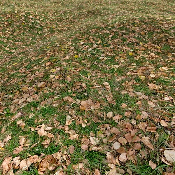 Texture JPEG grass terrain ground