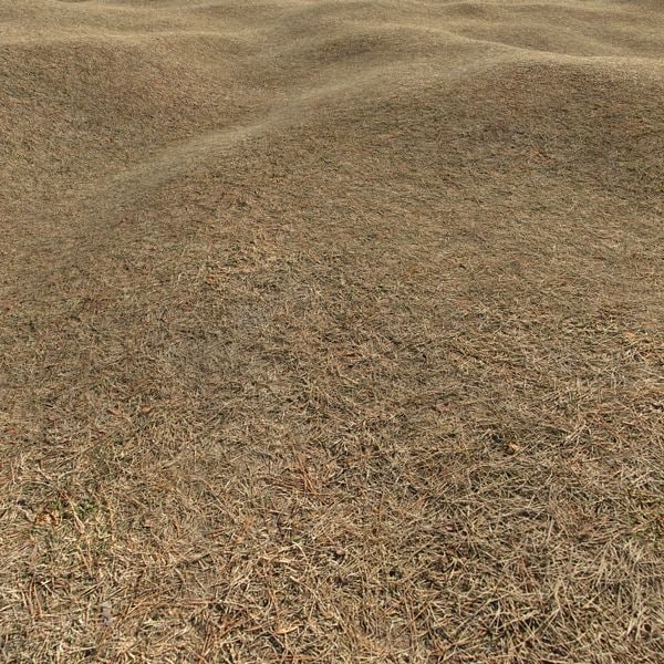 Texture JPEG grass terrain ground