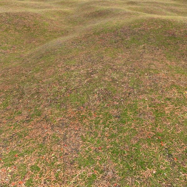 Texture JPEG grass terrain ground