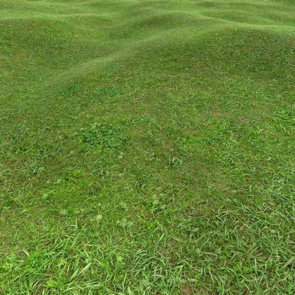 Texture JPEG grass terrain ground